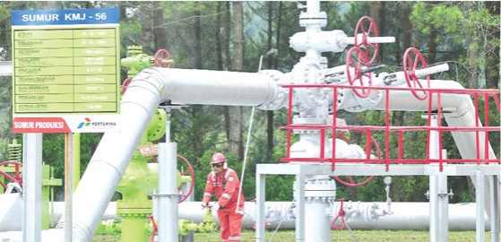 Geo Dipa Energy to shape up after management reshuffle - Business - The ...