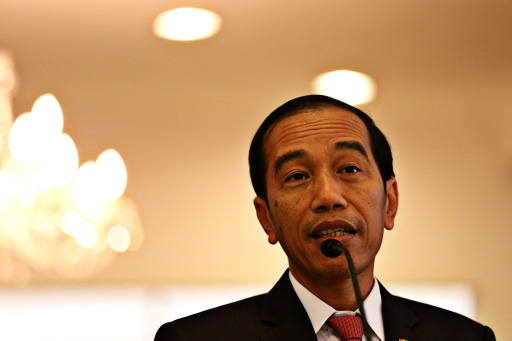 New vlogger in town: President Widodo - People - The Jakarta Post