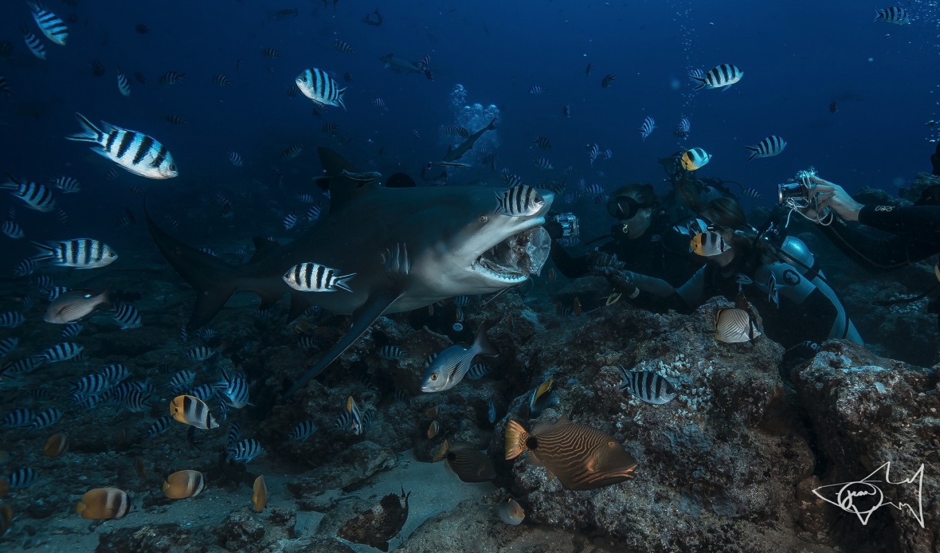 Five Instagrammable places to visit in Fiji - Lifestyle - The Jakarta Post