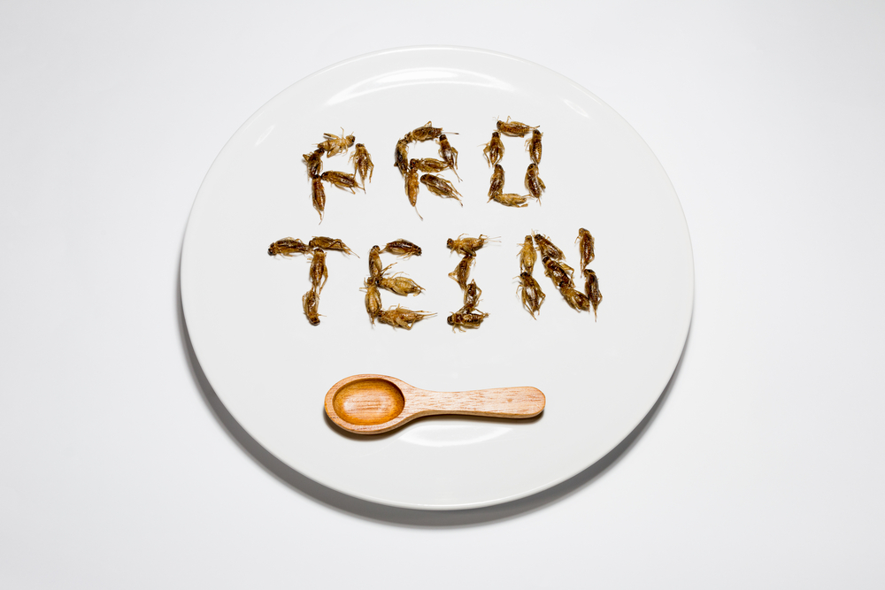 Tokyo celebrates Valentine’s Day with insect cocktails - Food - The ...