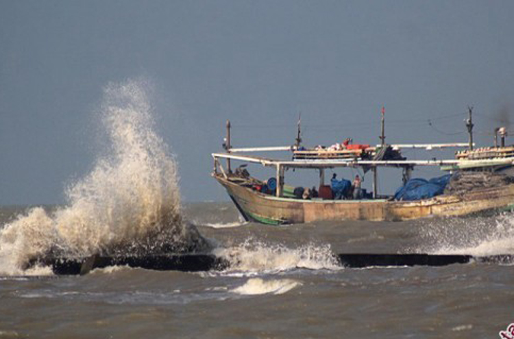 Sawu Sea to be developed for whale tourism - Business - The Jakarta Post