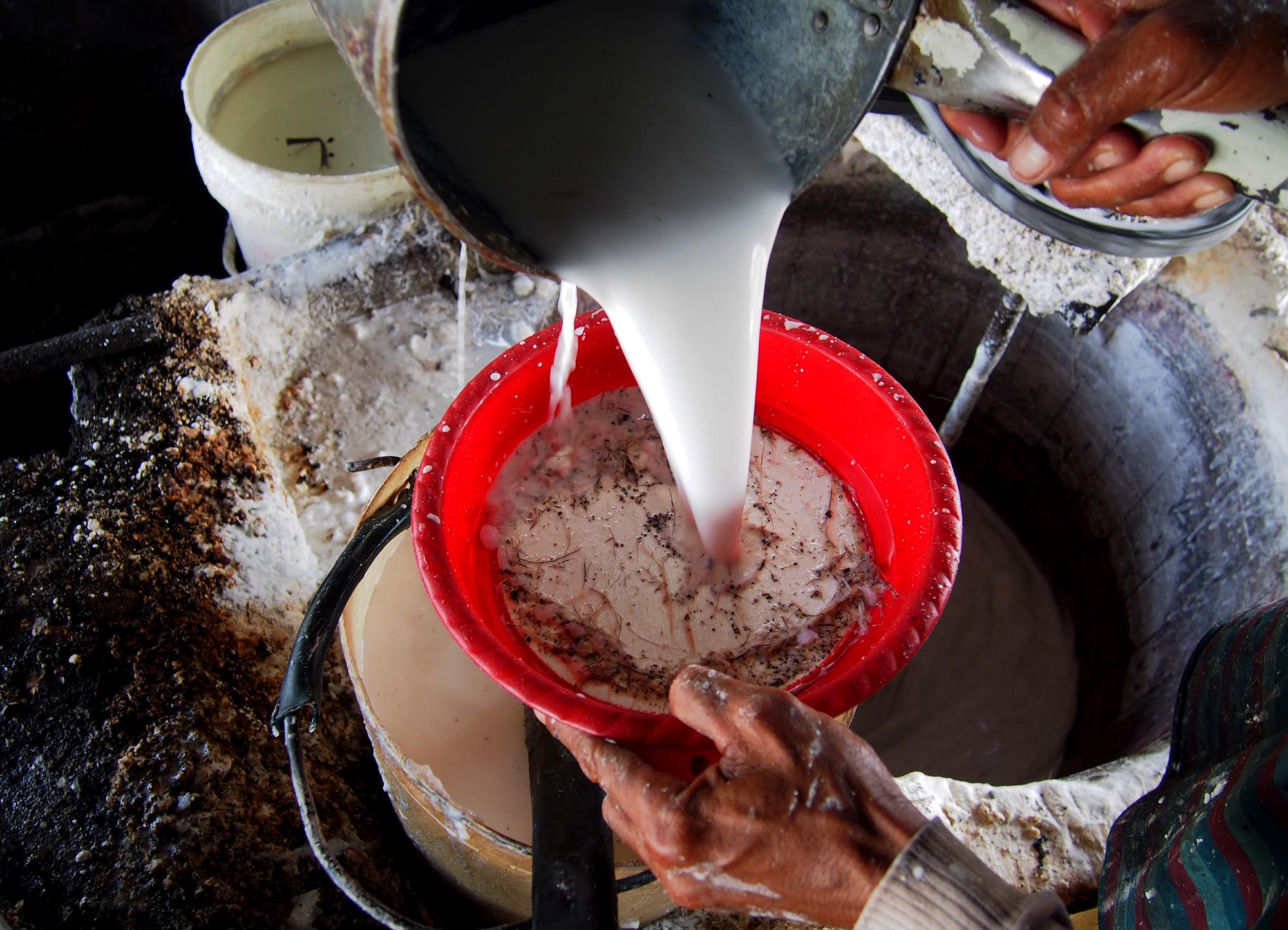 World’s first integrated sago palm facility opens in Southeast Sulawesi ...