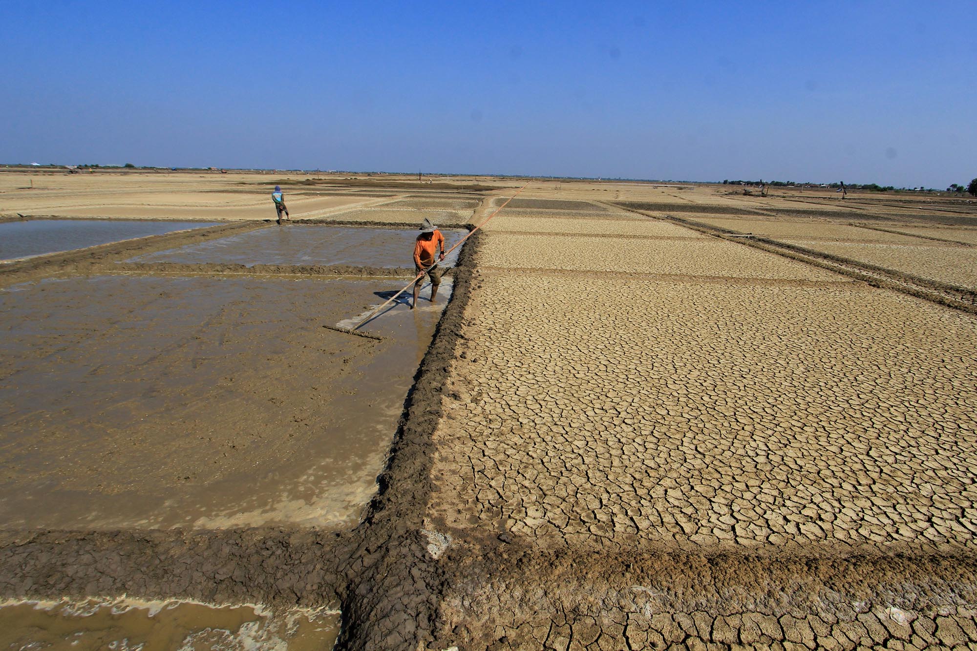 State firm to develop salt field in NTT - Business - The Jakarta Post