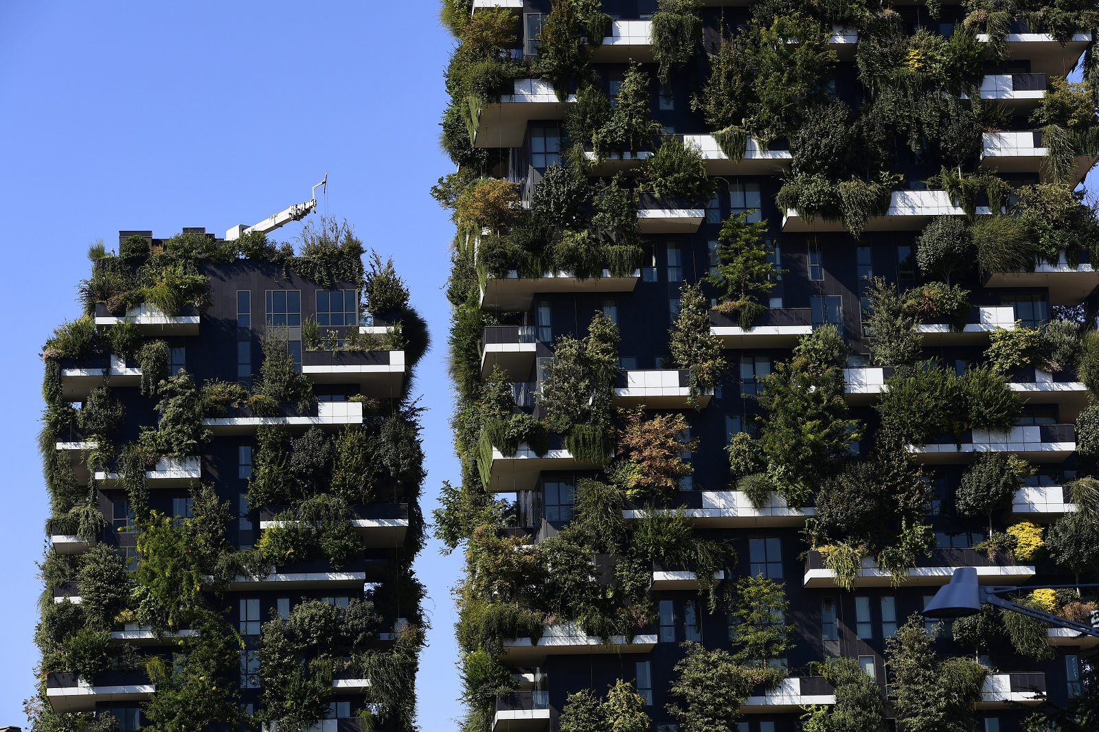 Five plant-covered buildings for greener environment - Environment ...