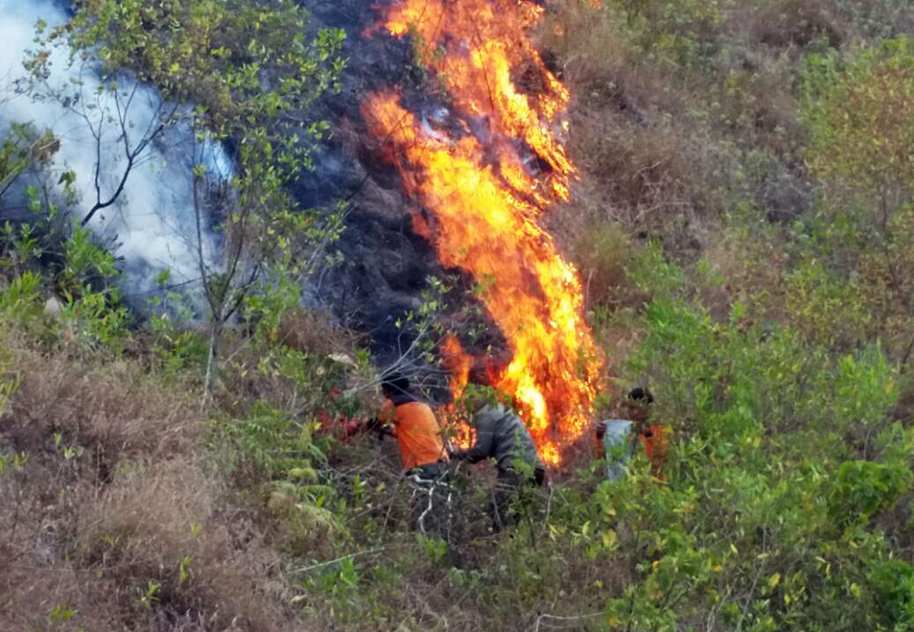 Fire burns 12 hectares of Mount Rinjani area - National - The Jakarta Post