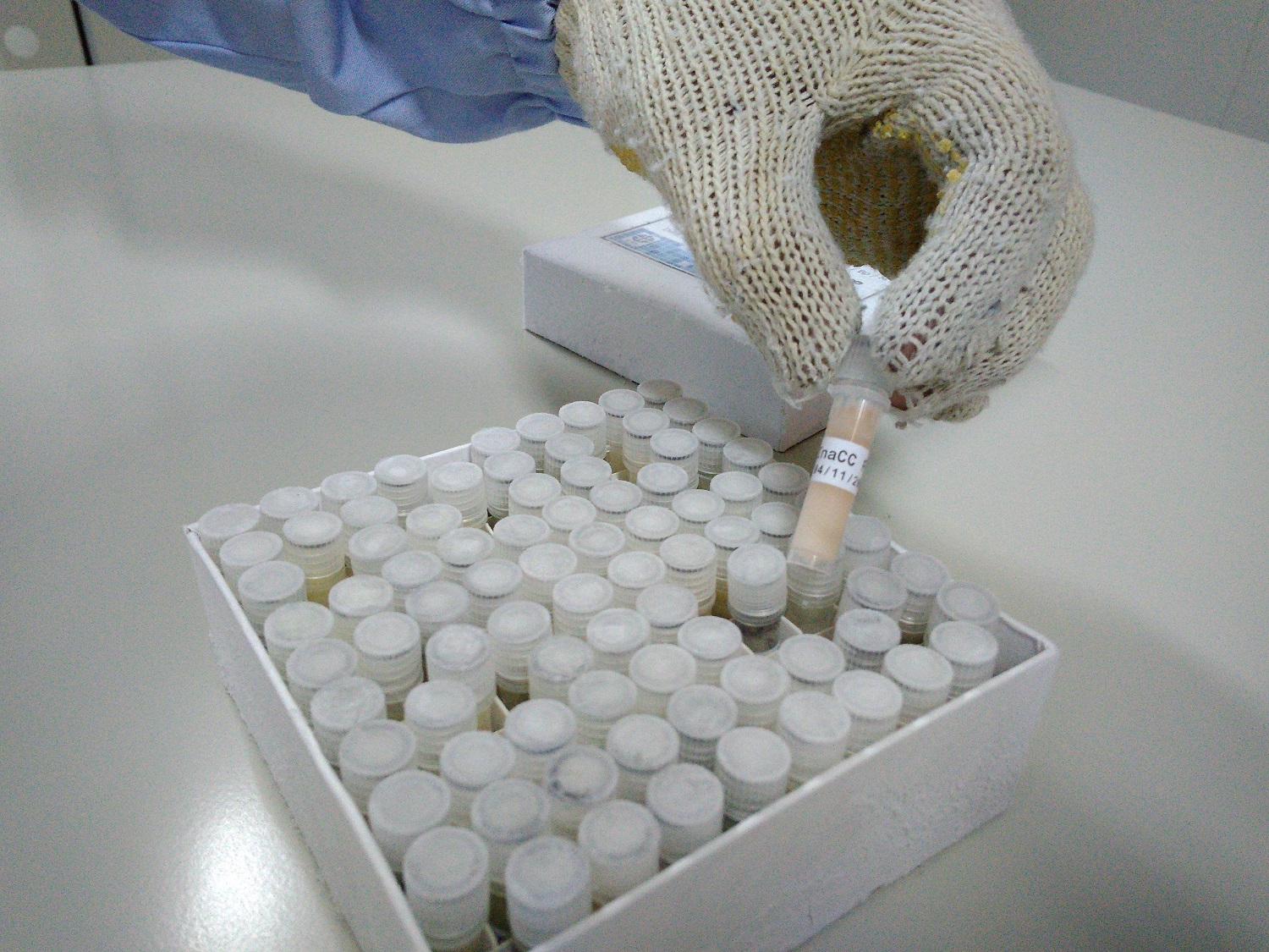 INACC collection open to advance microbial research: LIPI - National ...