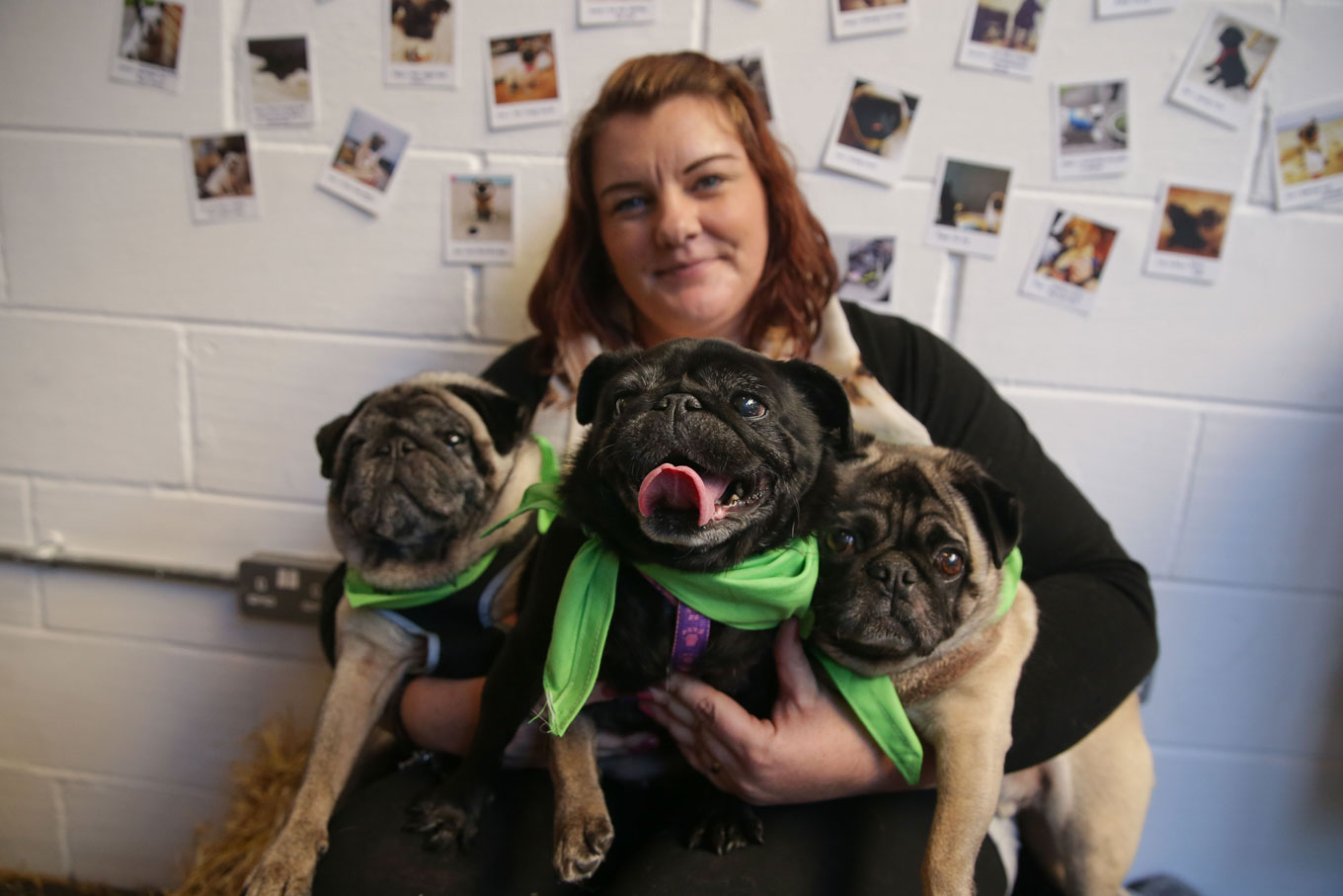 Hugs for Pugs at London's latest pup-up cafe - Lifestyle - The Jakarta Post