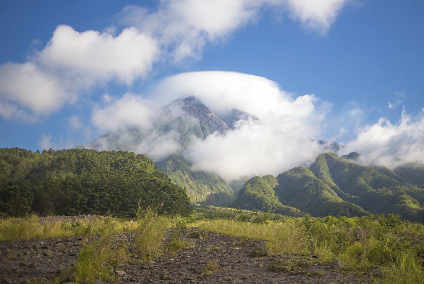 Merapi coffee shop draws tourists to Sleman - Destinations - The ...