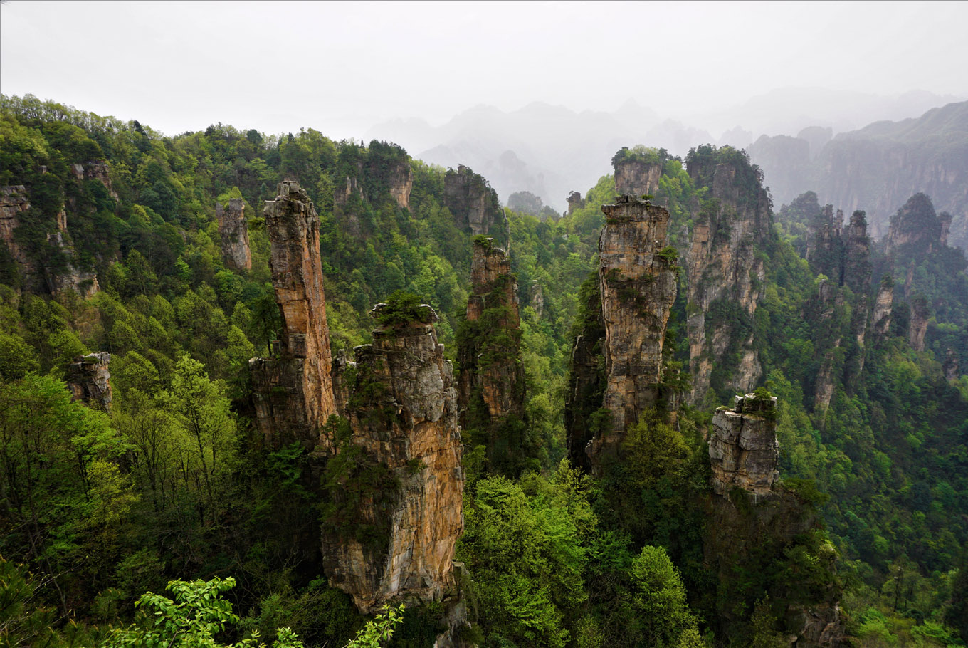 Get as close to ‘Avatar’ world as you ever will, in China ...