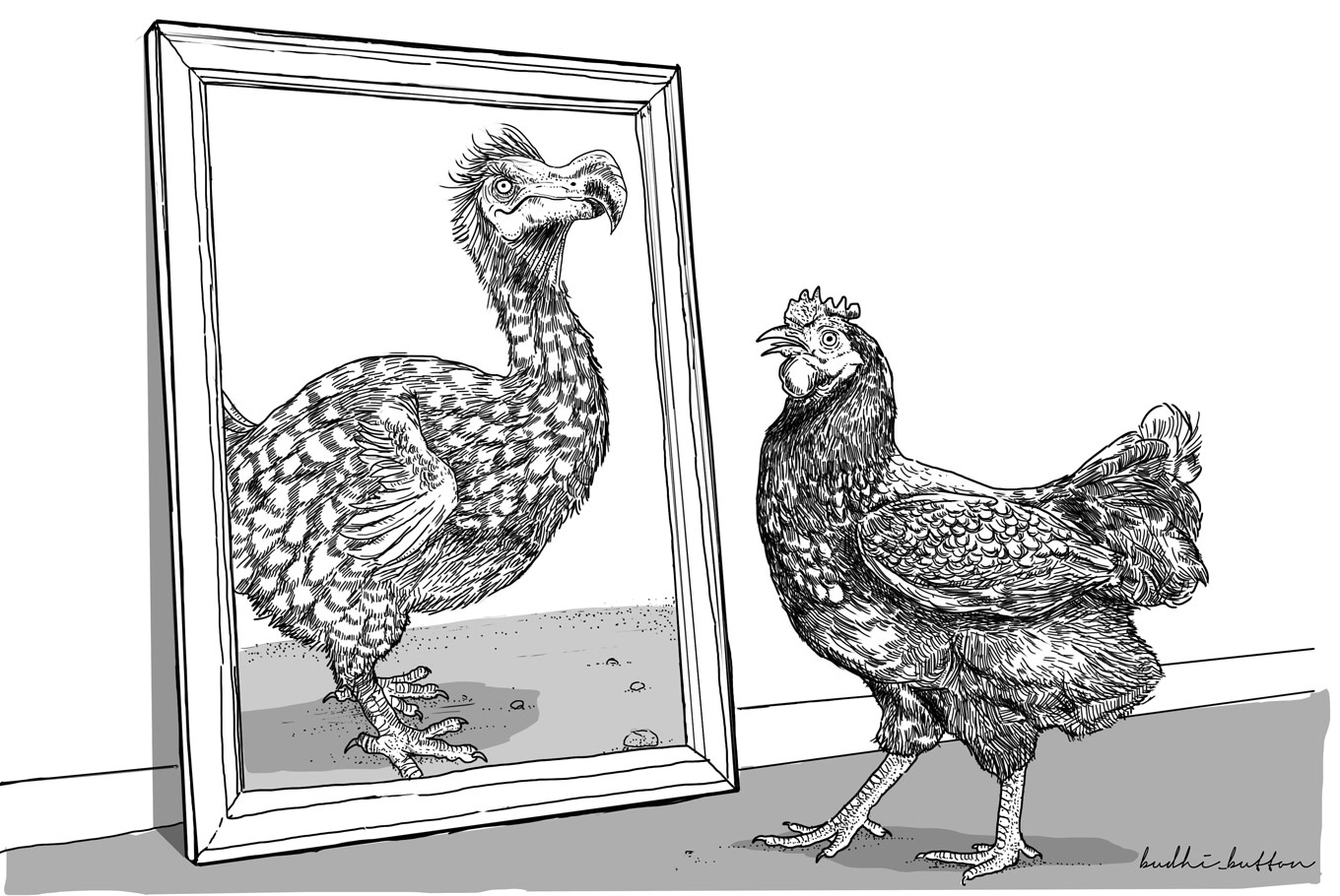 Short Story: The Dodo - Art & Culture - The Jakarta Post