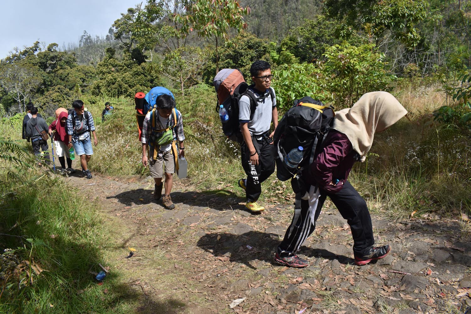 Fires force closure of hiking trails leading to three Central Java ...