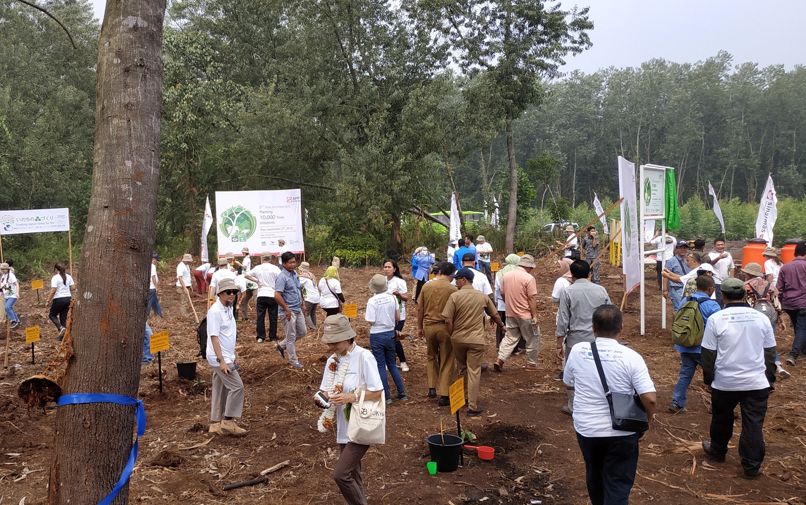 In Riau, forest restoration initiative continues with planting of ...