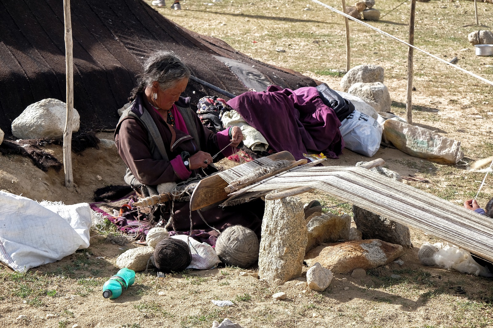 Ladakh's nomads and the future of pashmina wool - Art & Culture - The ...