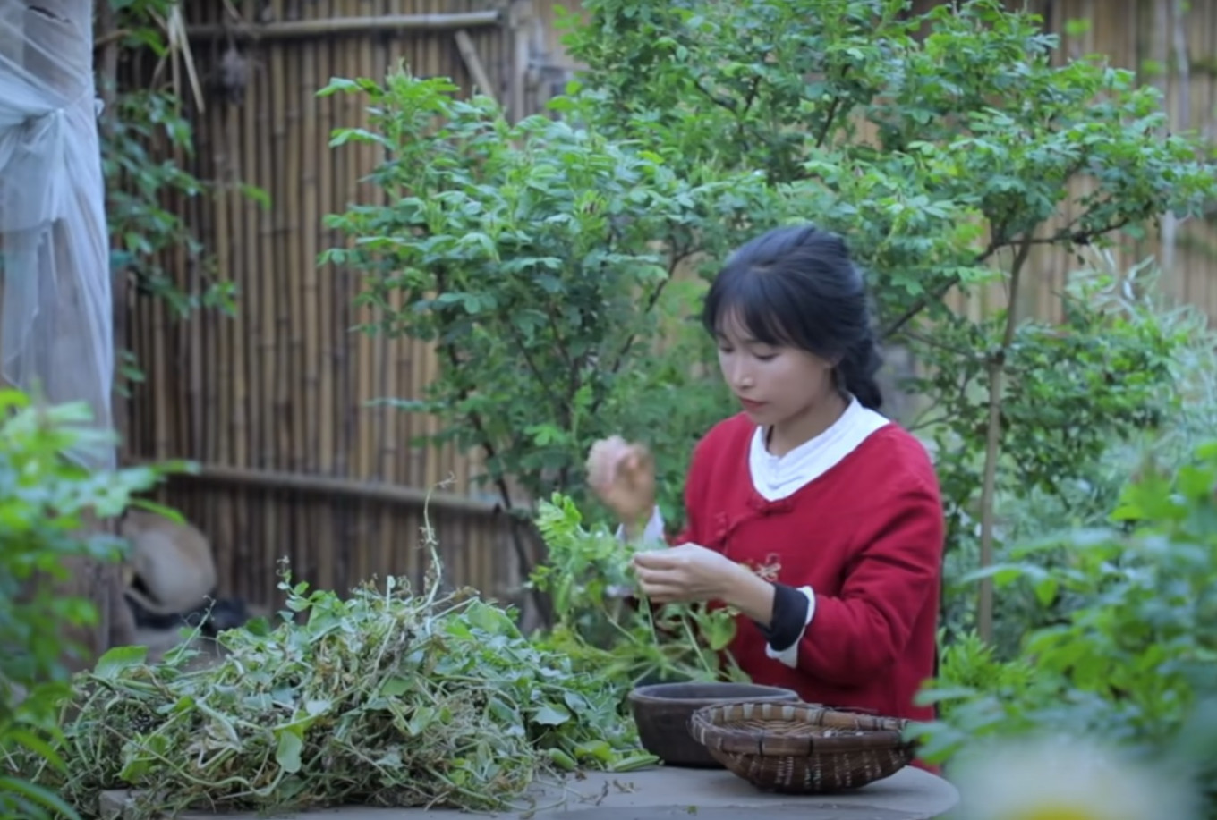 Li Ziqi: Vlogger who amazes world with China's countryside life ...