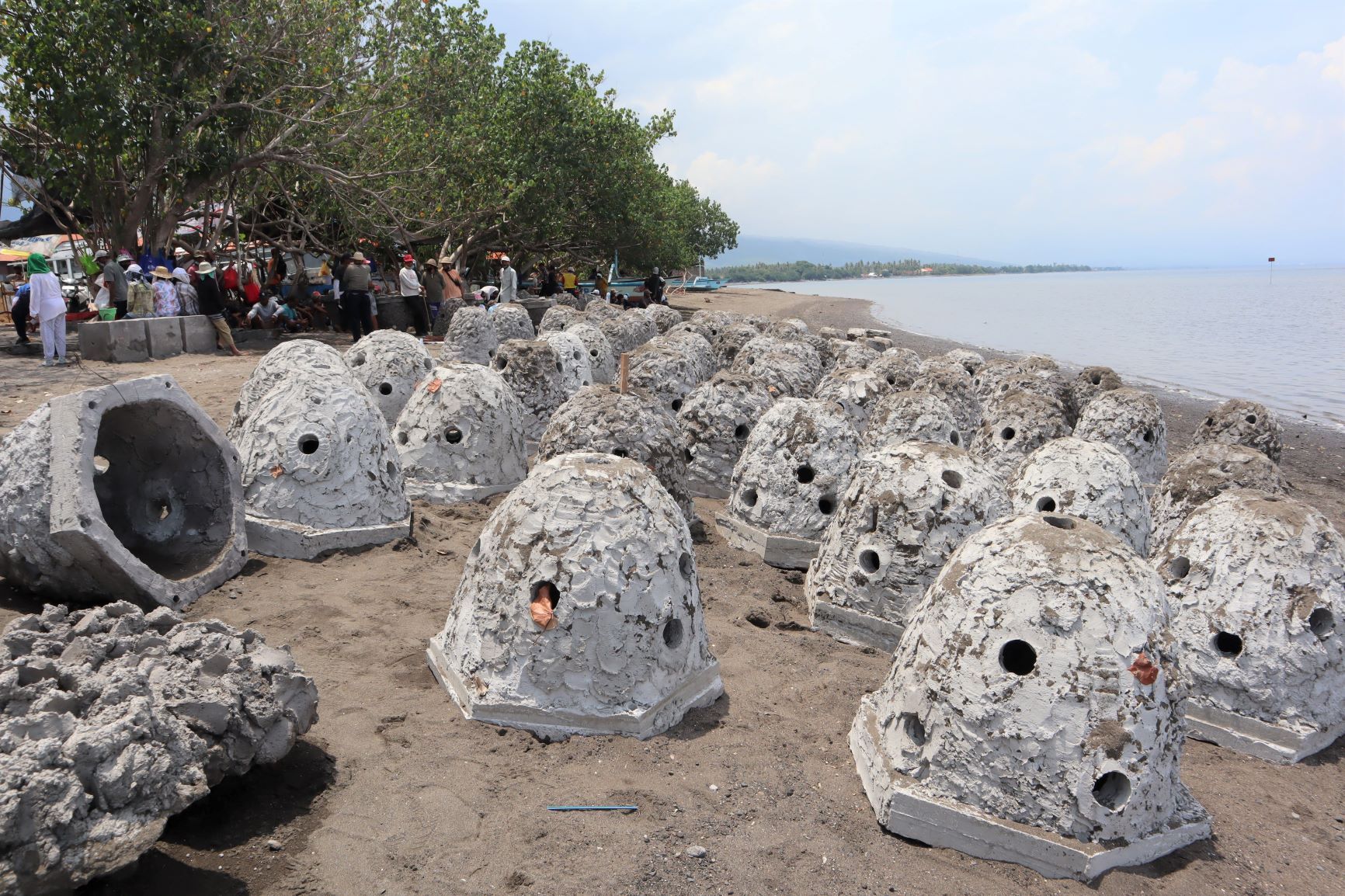 Coastal communities help restore Bali’s coral reef - Environment - The ...
