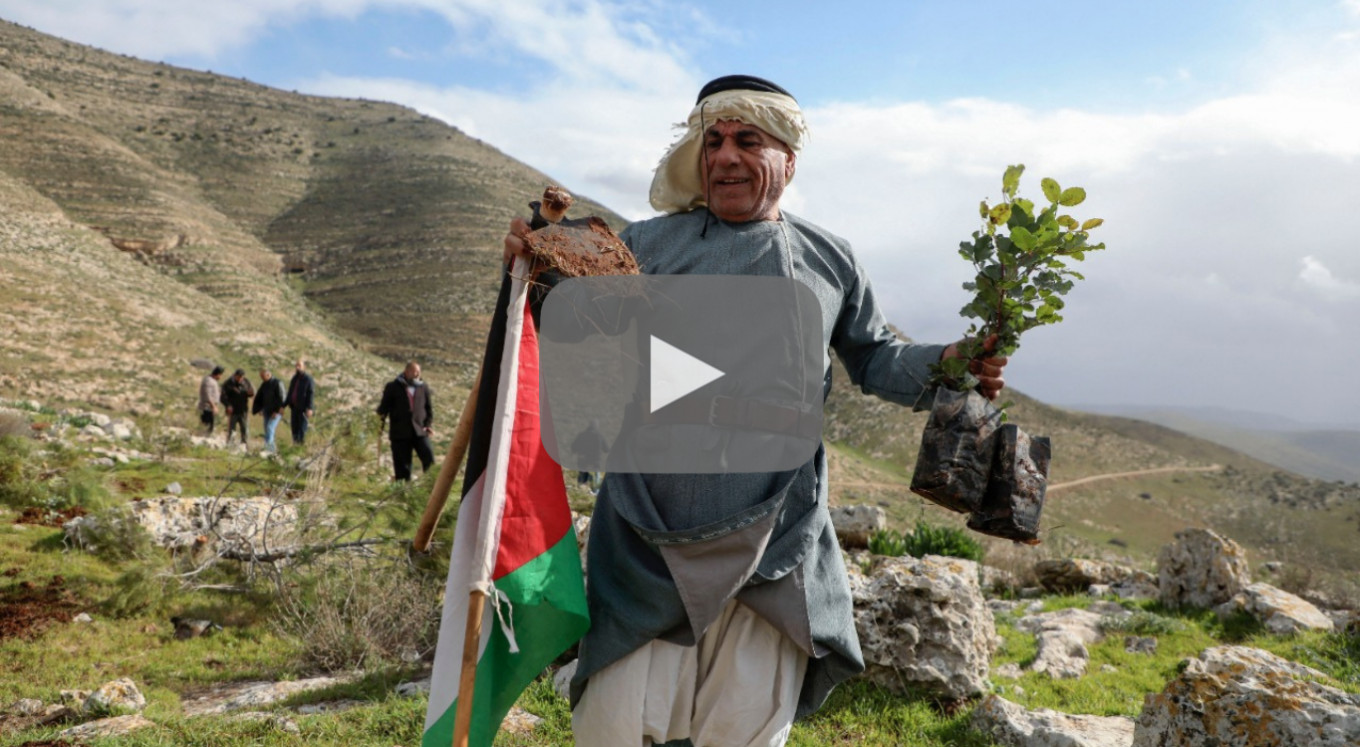 Video: Palestinians replant trees after Israel uproots thousands - The ...