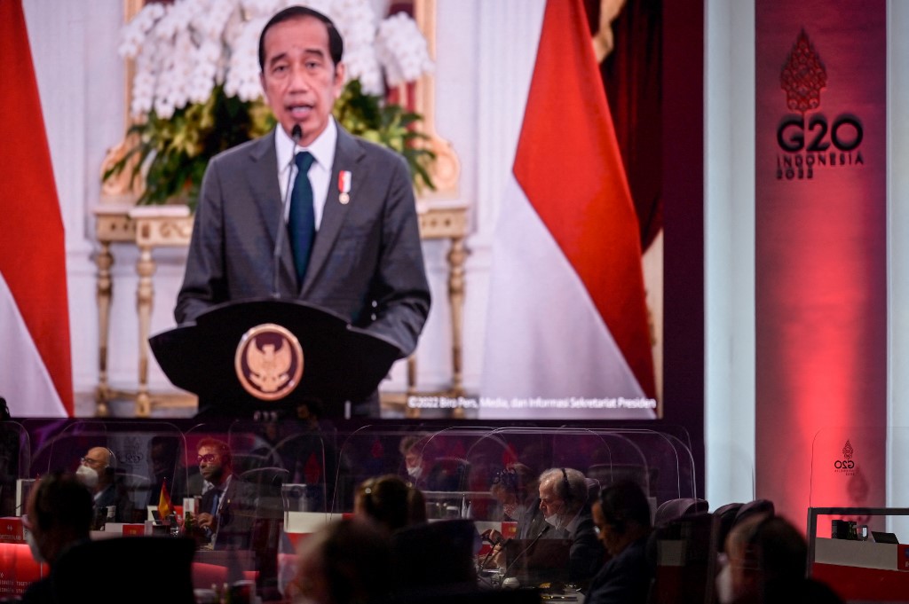 As G20 chair, coal-heavy Indonesia sends mixed signals on green ...