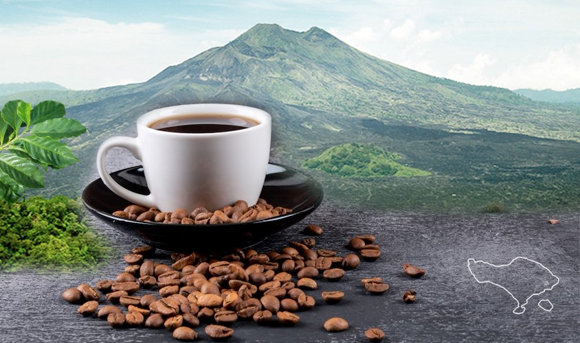 GP2022 brings taste of Kintamani-Bali coffee to the world - Inforial ...