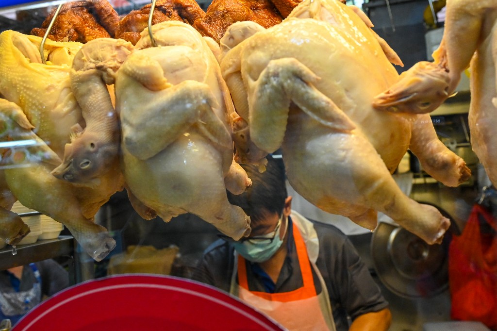 Malaysia eases chicken export ban - Economy - The Jakarta Post