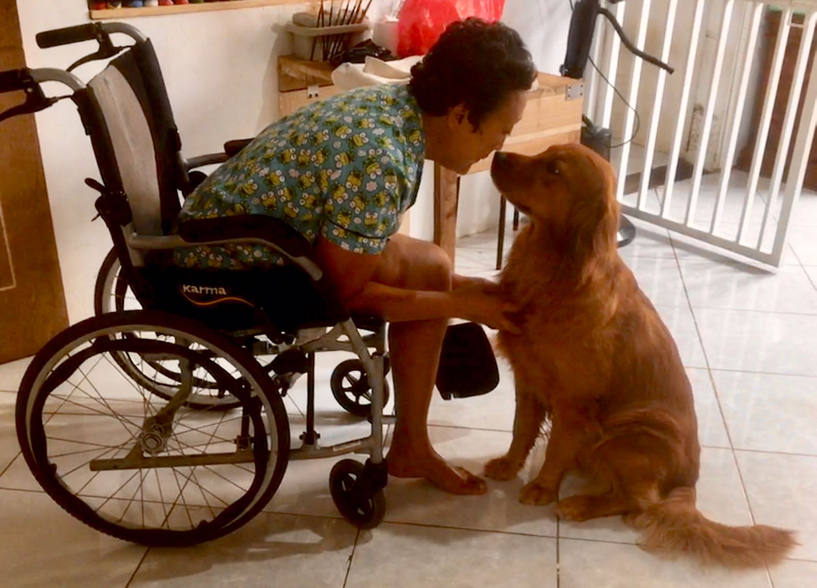 But for the love of a dog: Surviving cancer with canine care ...