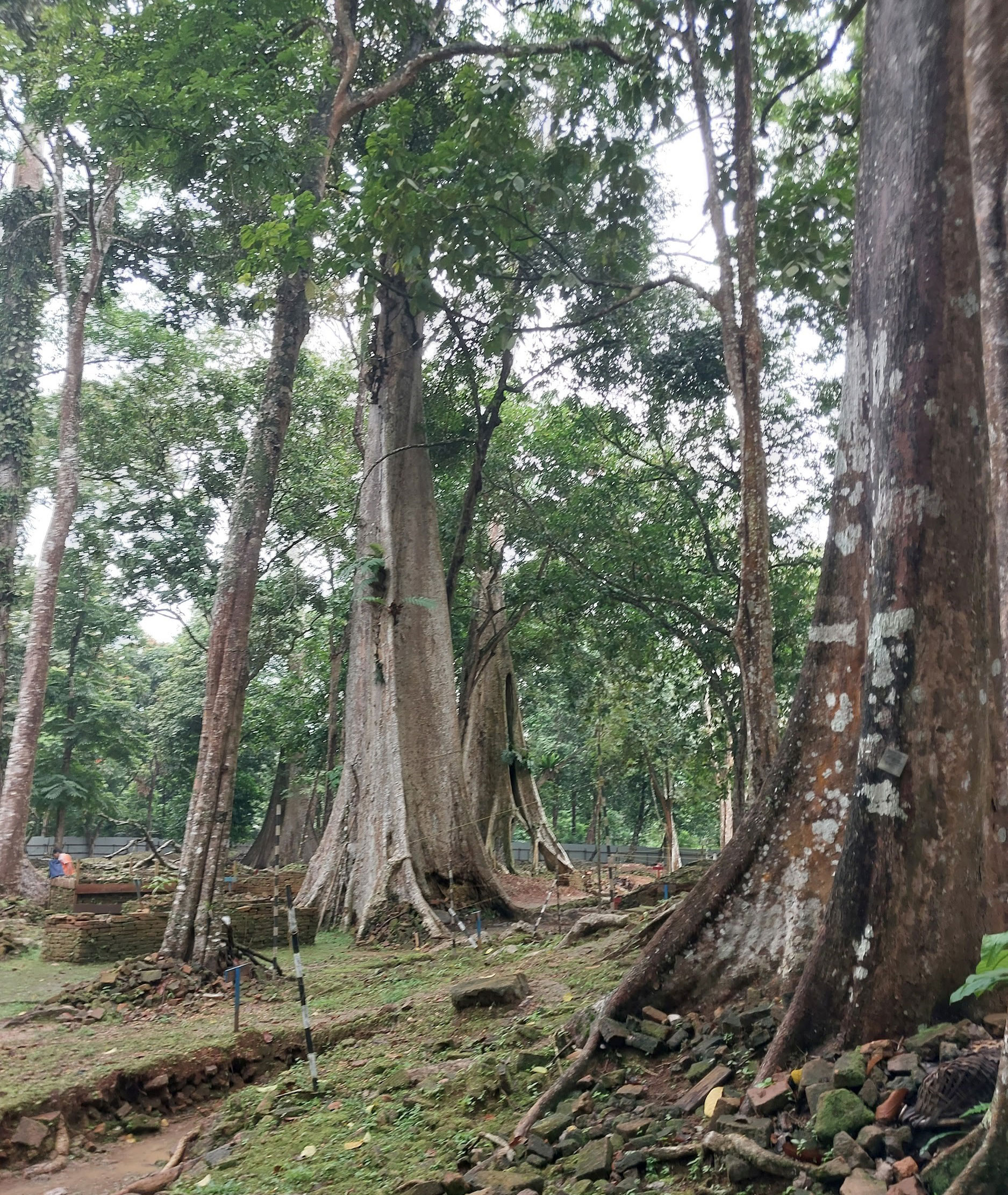 “A reminder of our greatness”: revitalizing Muaro Jambi, Indonesia’s ...