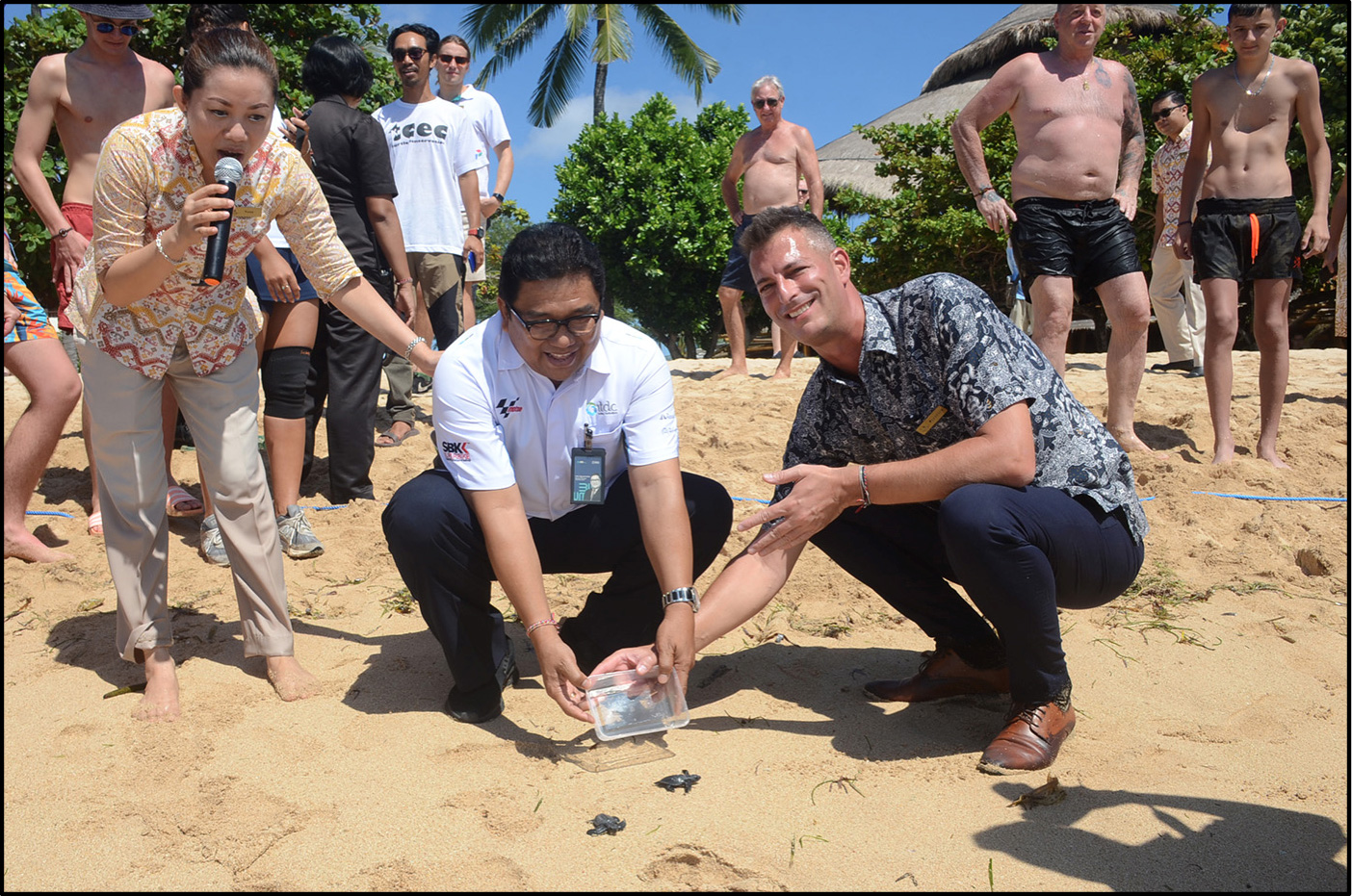 Baby turtles find their way home at The Nusa Dua Beach Hotel & Spa ...