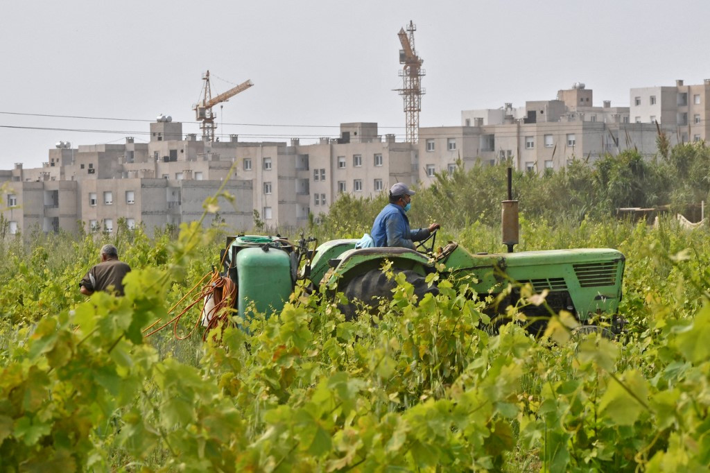 Algeria and Italy sign $455 million agriculture deal - Economy - The ...